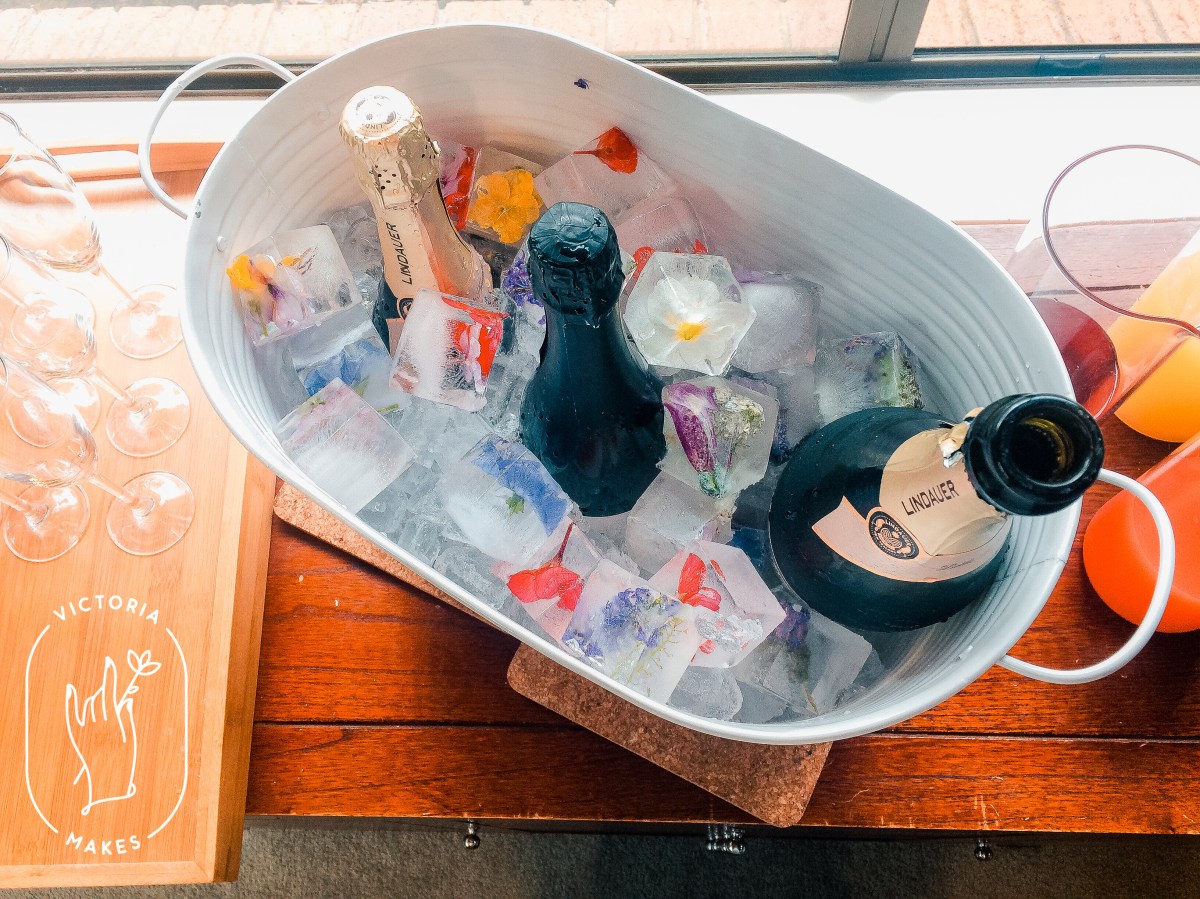 5 Things: Pretty Ice Cubes – victoria makes