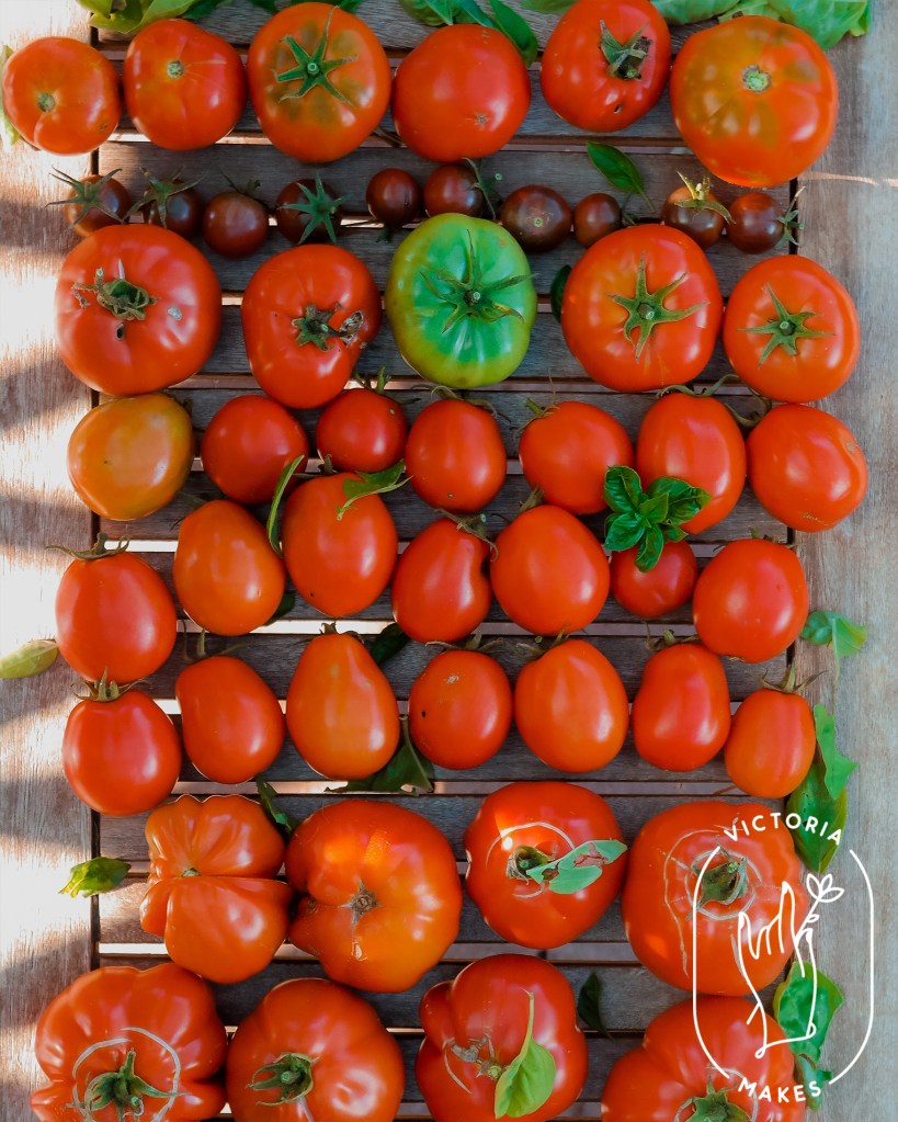 5 Things: For Beginner Urban Gardeners To Grow – victoria makes